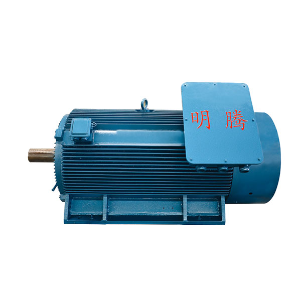 IE5 660V TYCX High Power Direct-Starting Permanent Magnet Synchronous Motor - Manufacturer and ...