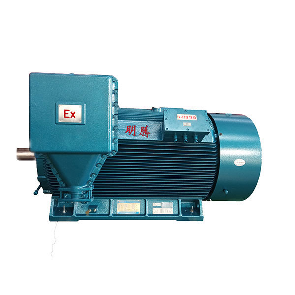 IE5 6000V TYBCX Explosion-proof Permanent Magnet Synchronous Motor - Manufacturer and Supplier ...